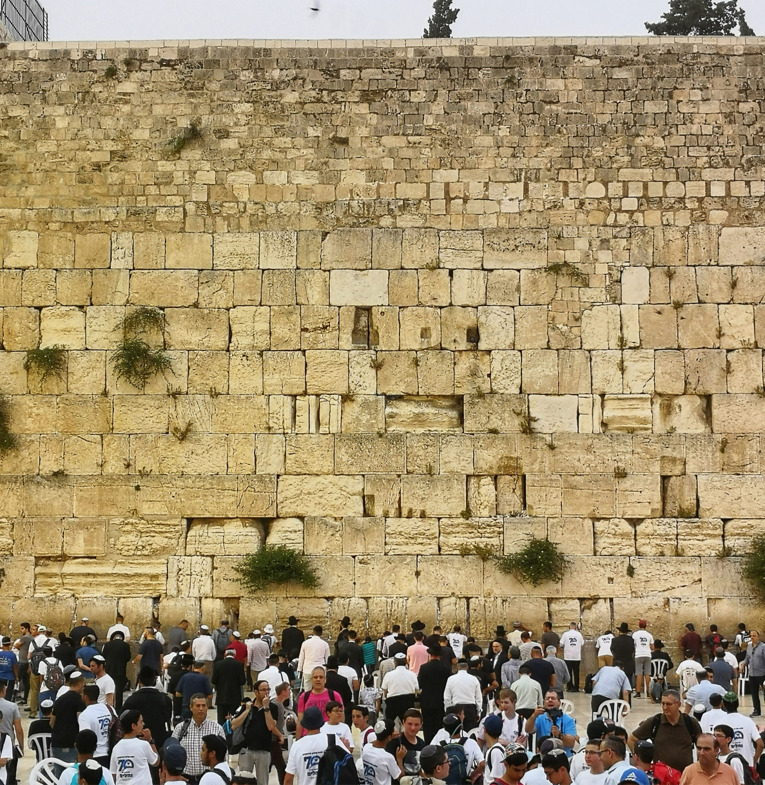 LA Jewish Times | Find Minyan
